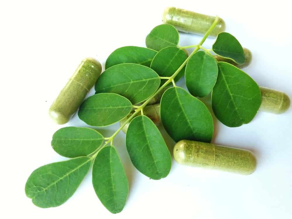 Luar Biasa, Ini 9 Manfaat Daun Kelor untuk Kesehatan – Good Doctor ...