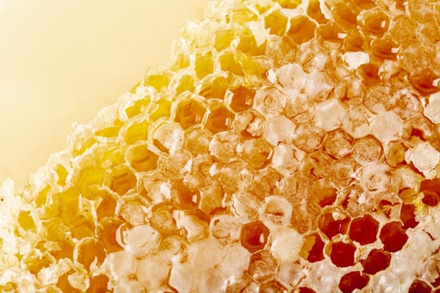 10 Manfaat Propolis untuk Kesehatan, Bisa Cegah Kanker! | Good Doctor ...